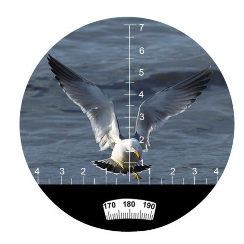 Hooway 7x50 Review - PointOptics