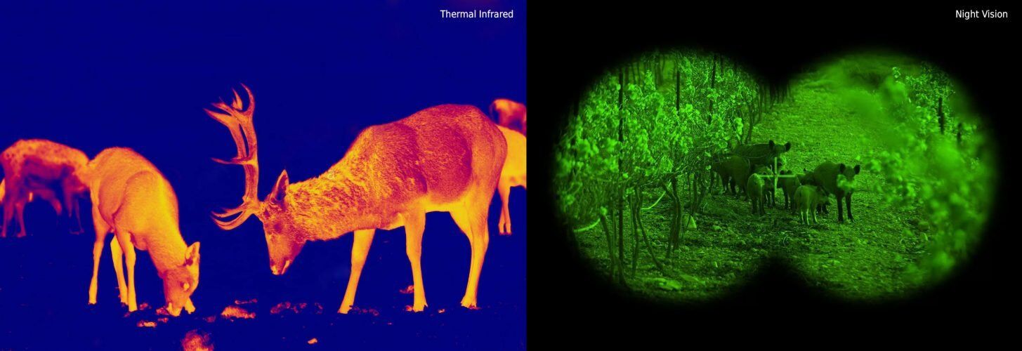 The 5 Best Night Vision Scopes of 2025 (With Buyer's Guide)